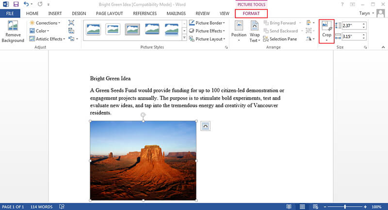 How Do I Crop An Image In Word The Meta Pictures