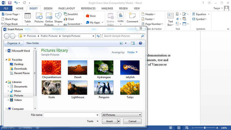 Reverse An Image In Word